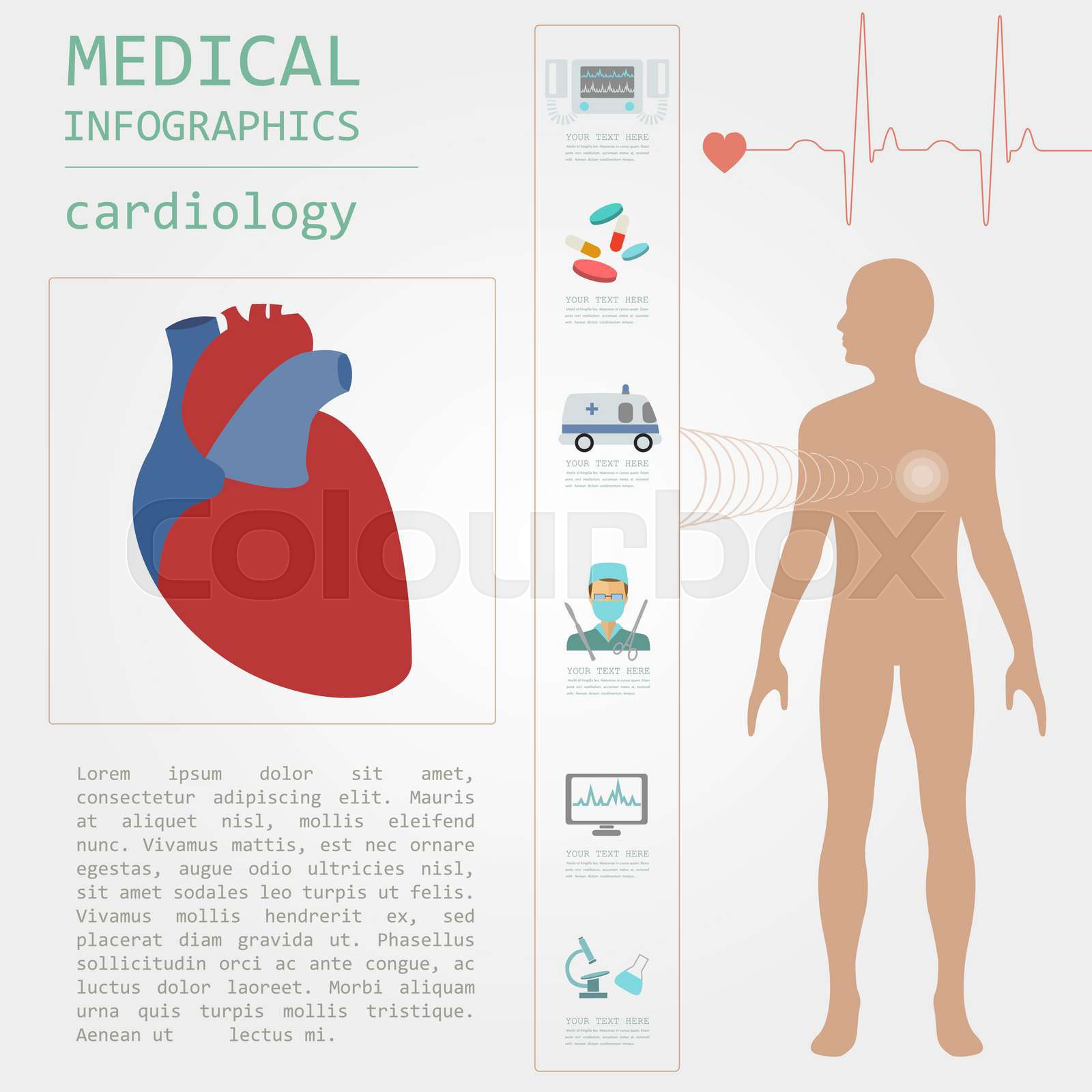Medical and healthcare infographic, Cardiology infographics. | Stock ...