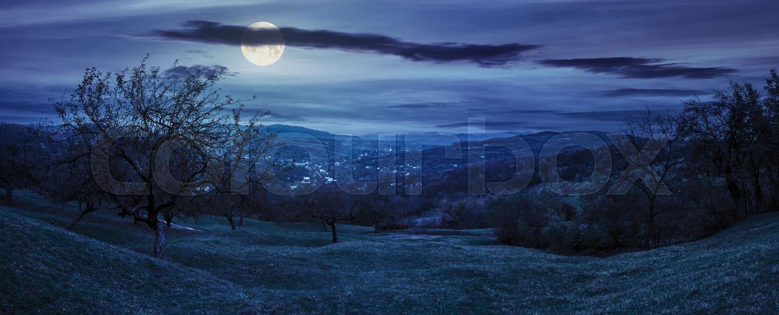 panorama of apple orchard on hillside at night | Stock image | Colourbox