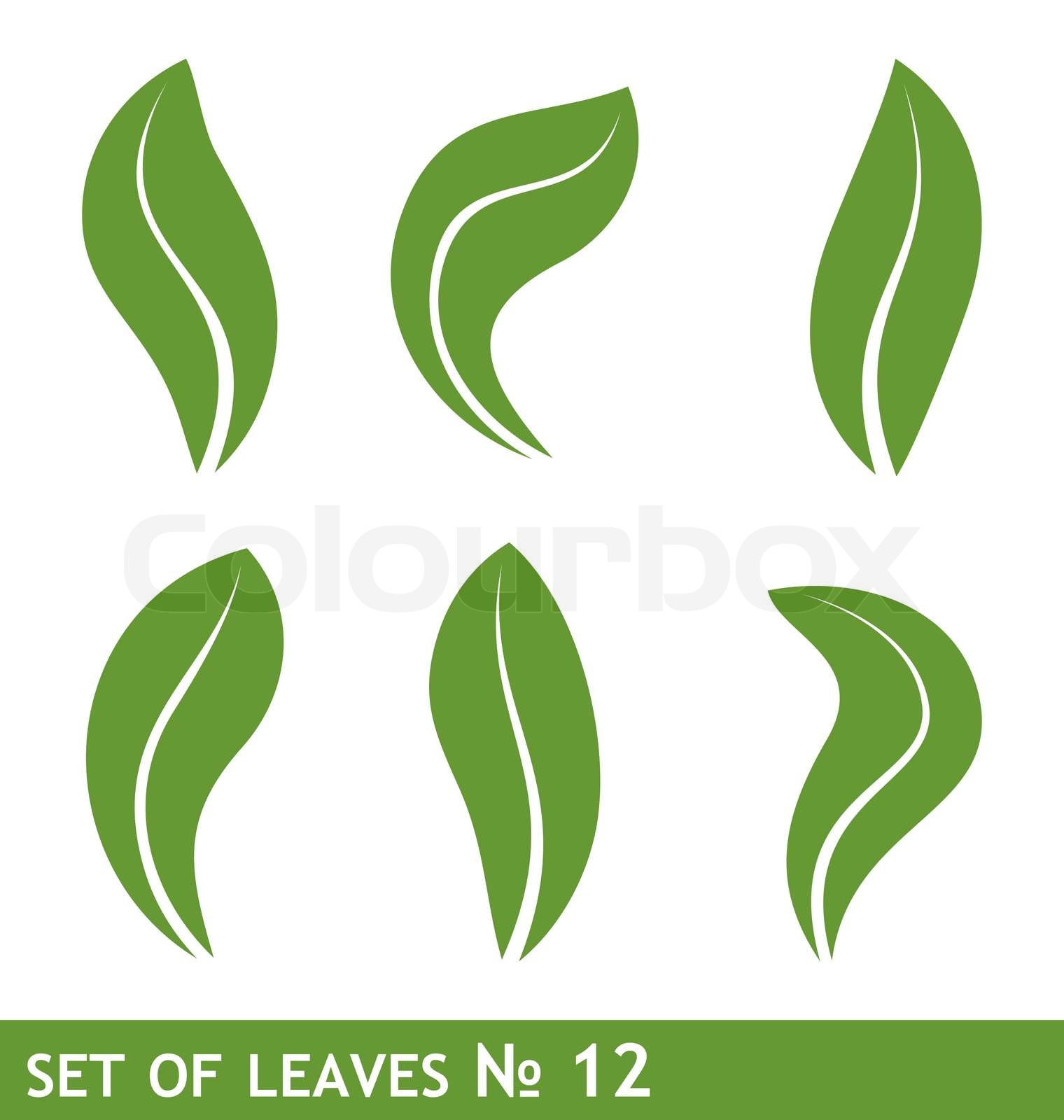 Illustration of leaves set for design - vector | Stock vector | Colourbox