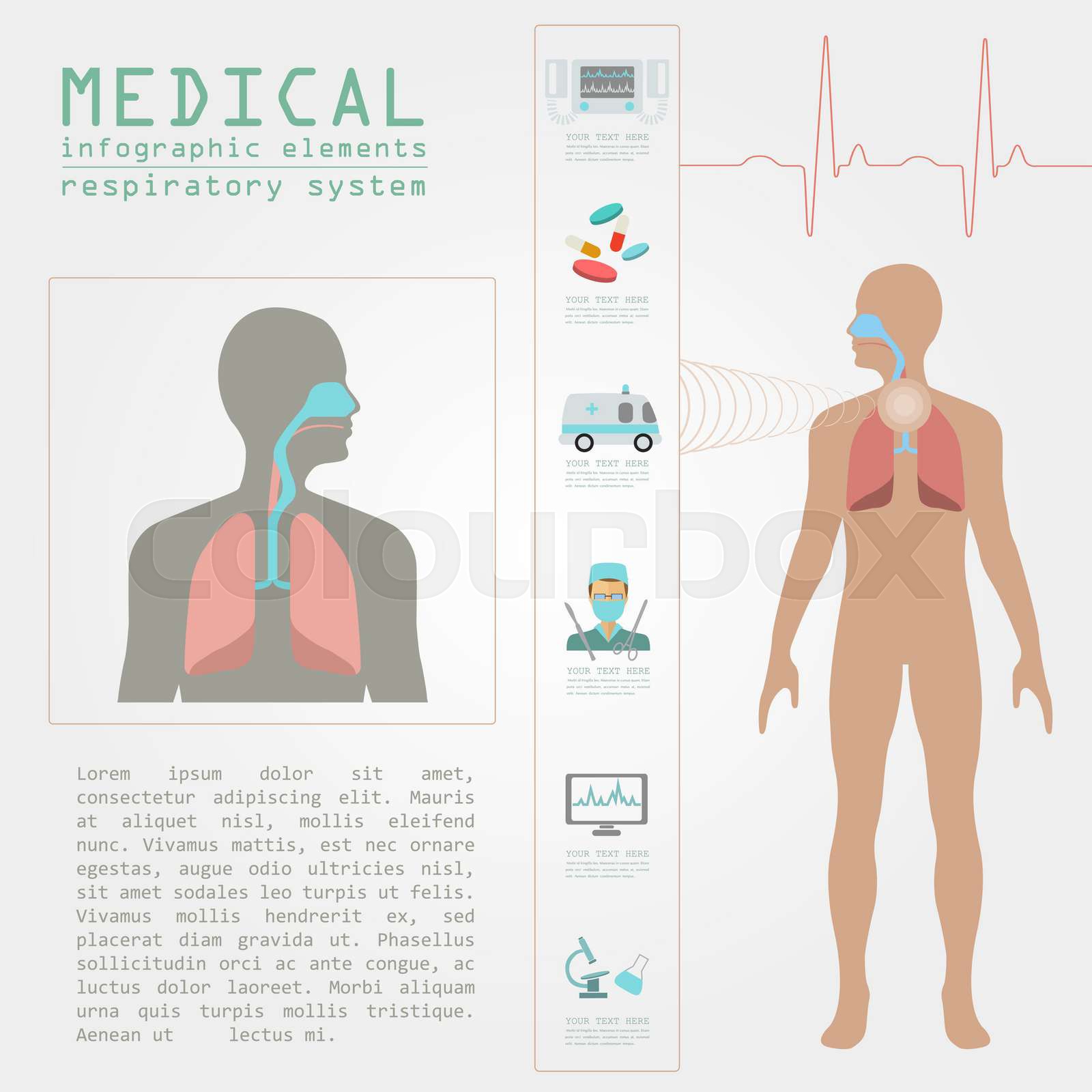Medical and healthcare infographic, respiratory system infographics ...