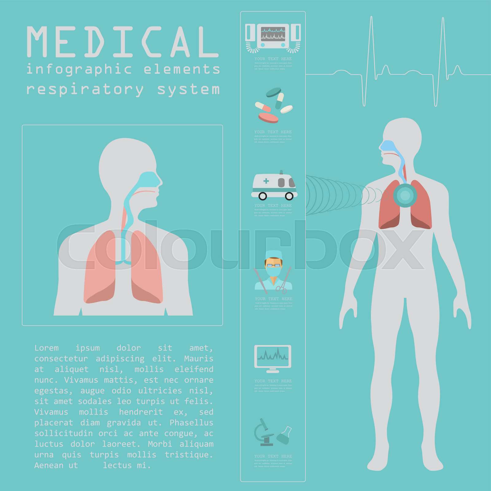 Medical and healthcare infographic, respiratory system infographics ...