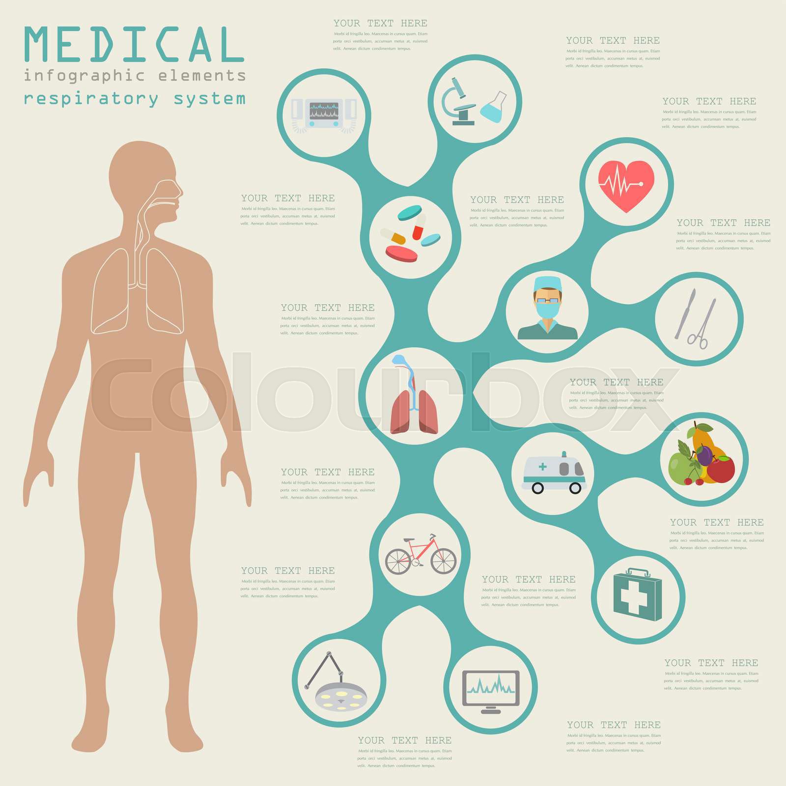 Medical and healthcare infographic, respiratory system infographics ...
