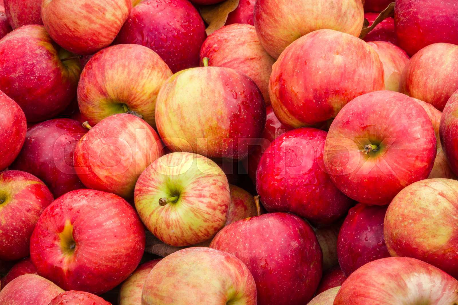 Apple Bin | Stock image | Colourbox
