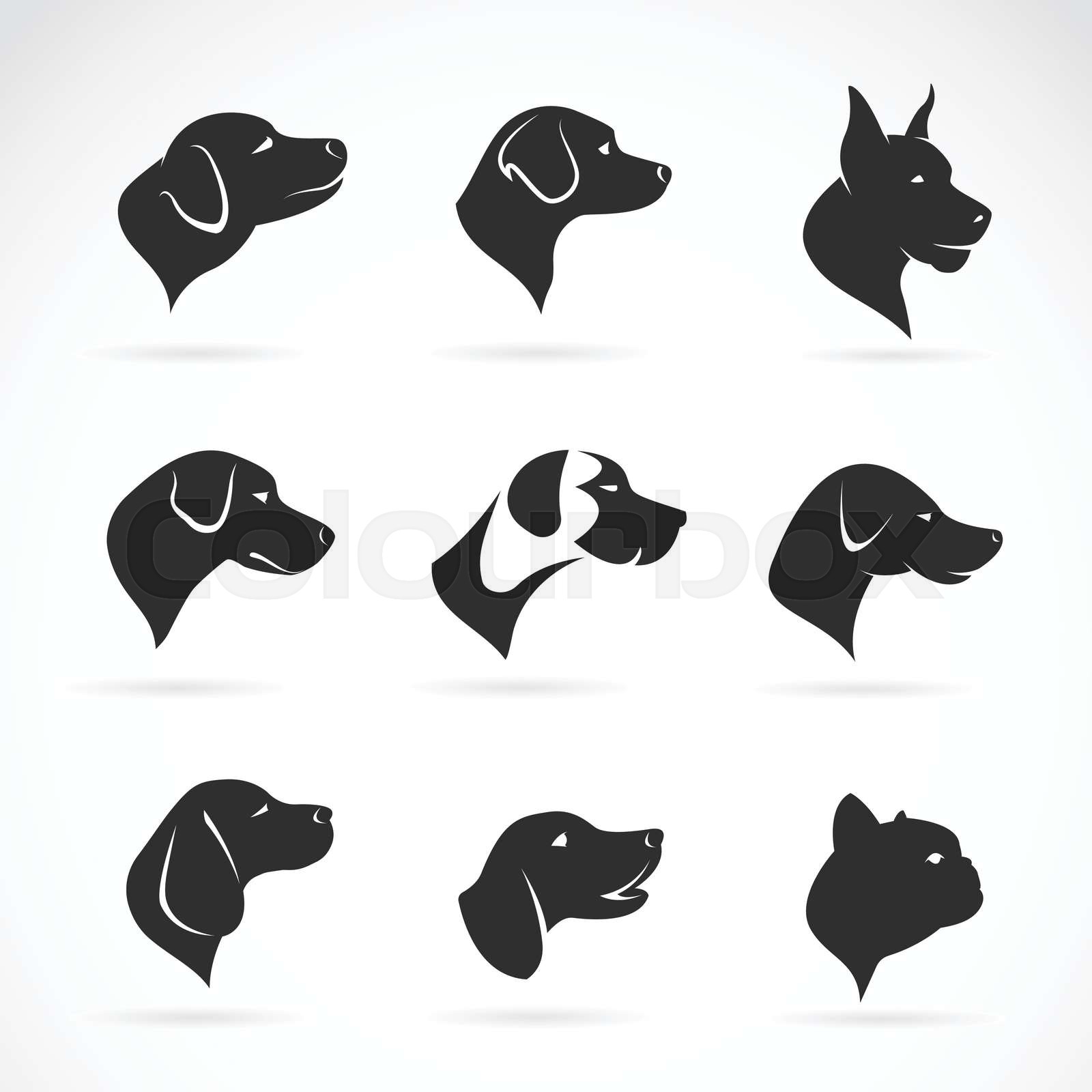 hund, kopf, hündisch | Stock-Vektor | Colourbox