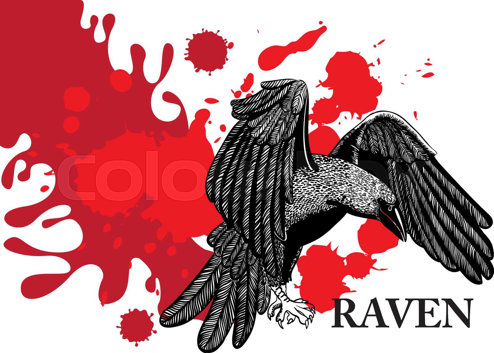 Flying raven | Stock vector | Colourbox