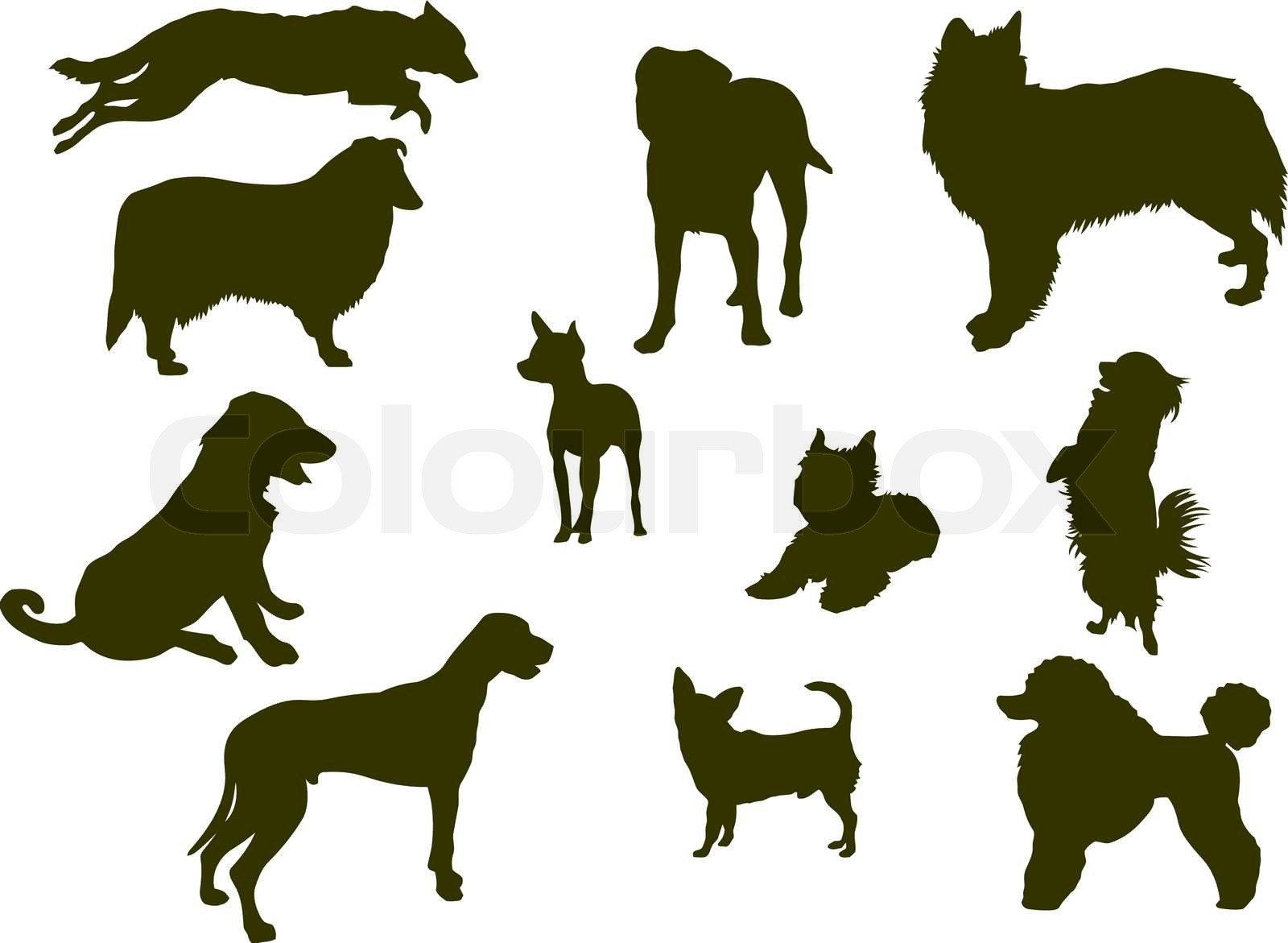 puppy, shadow, silhouette | Stock vector | Colourbox