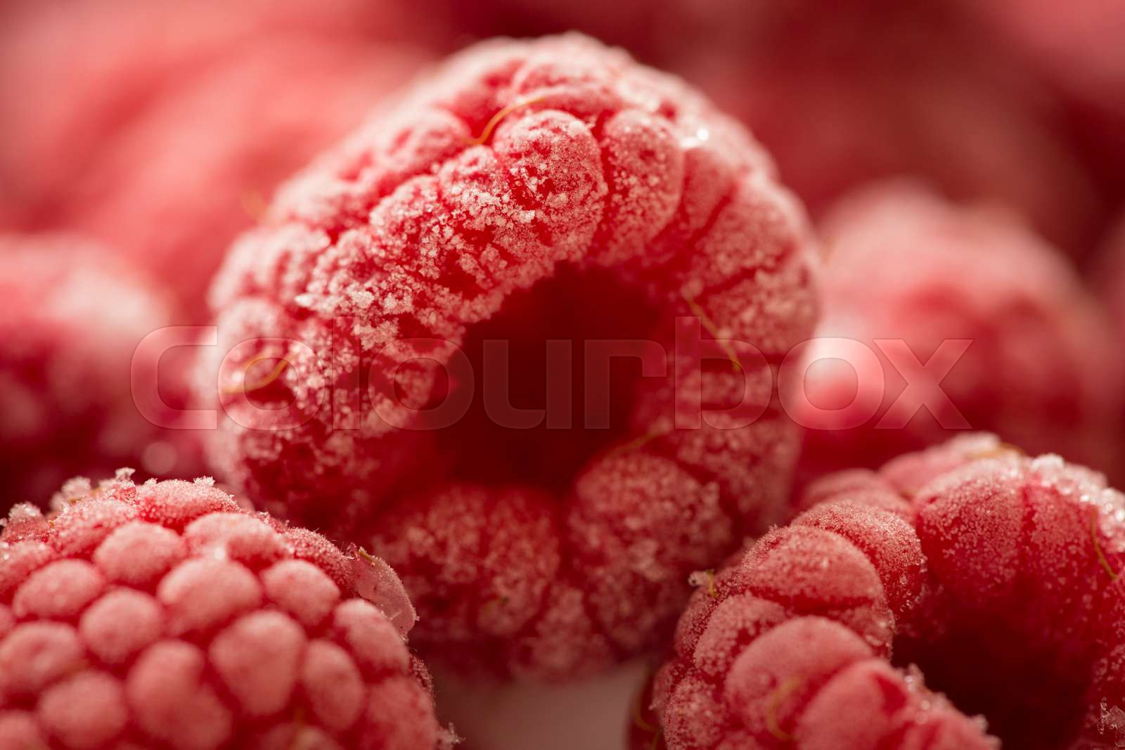 frozen raspberries | Stock image | Colourbox