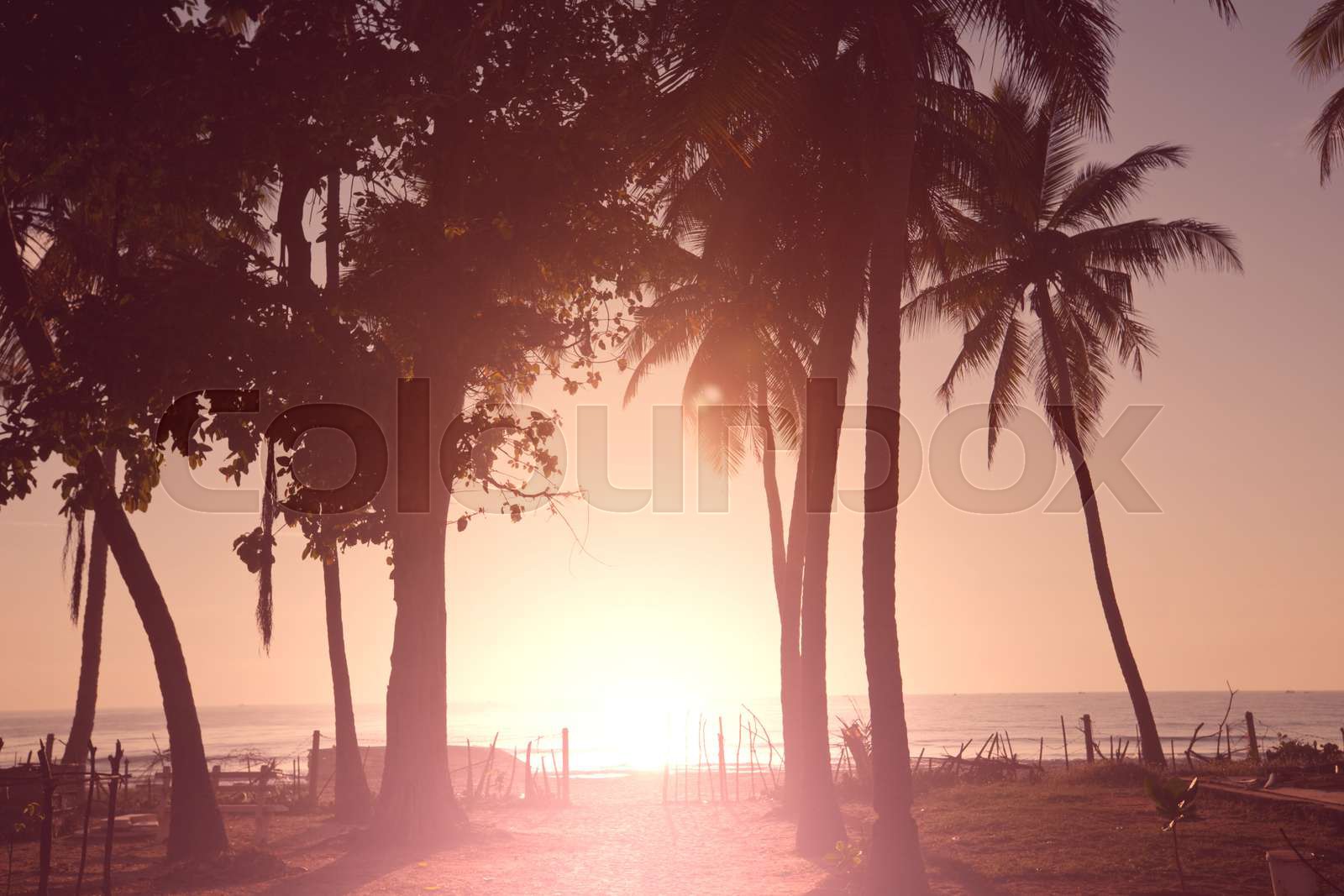 Tropical Beach Stock Image Colourbox