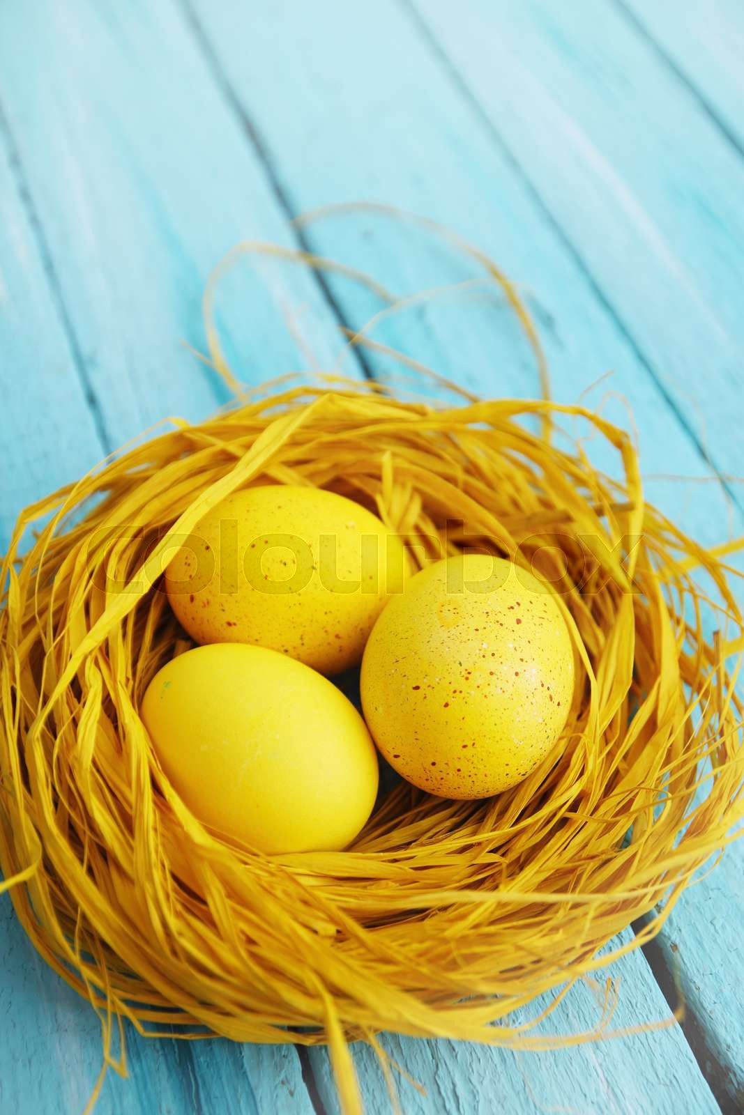 yellow nest | Stock image | Colourbox