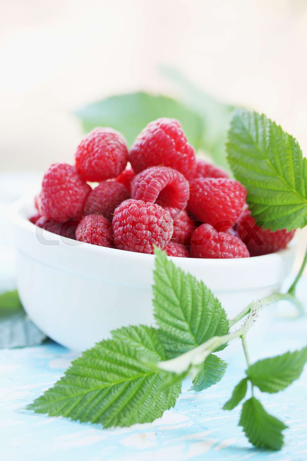 red raspberry | Stock image | Colourbox