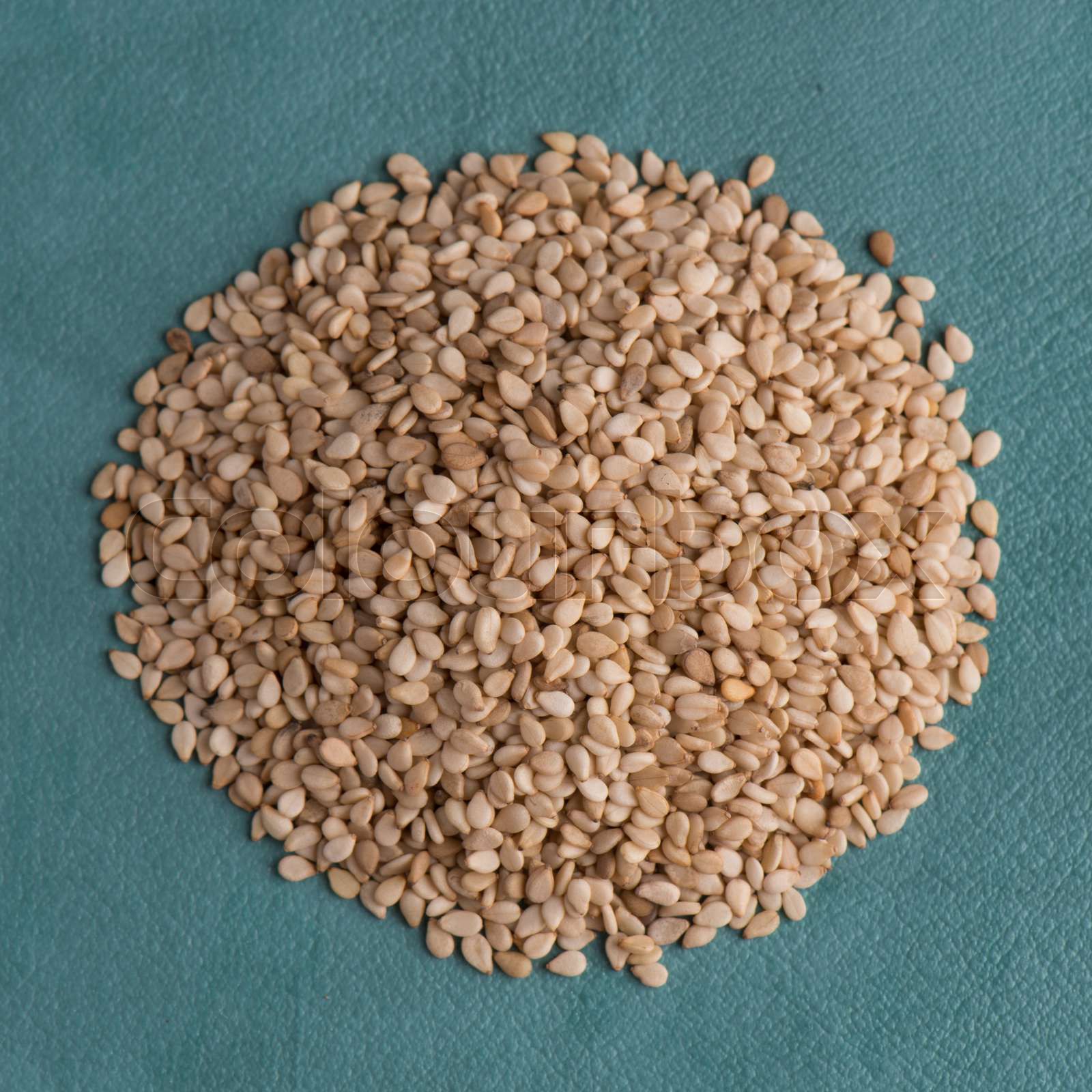 Circle of sesame seeds | Stock image | Colourbox