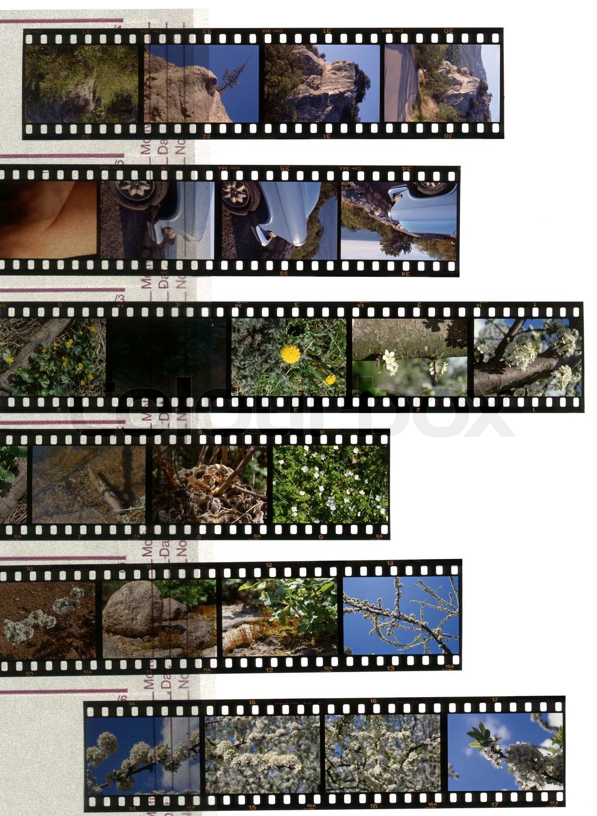 Film Contact Sheet