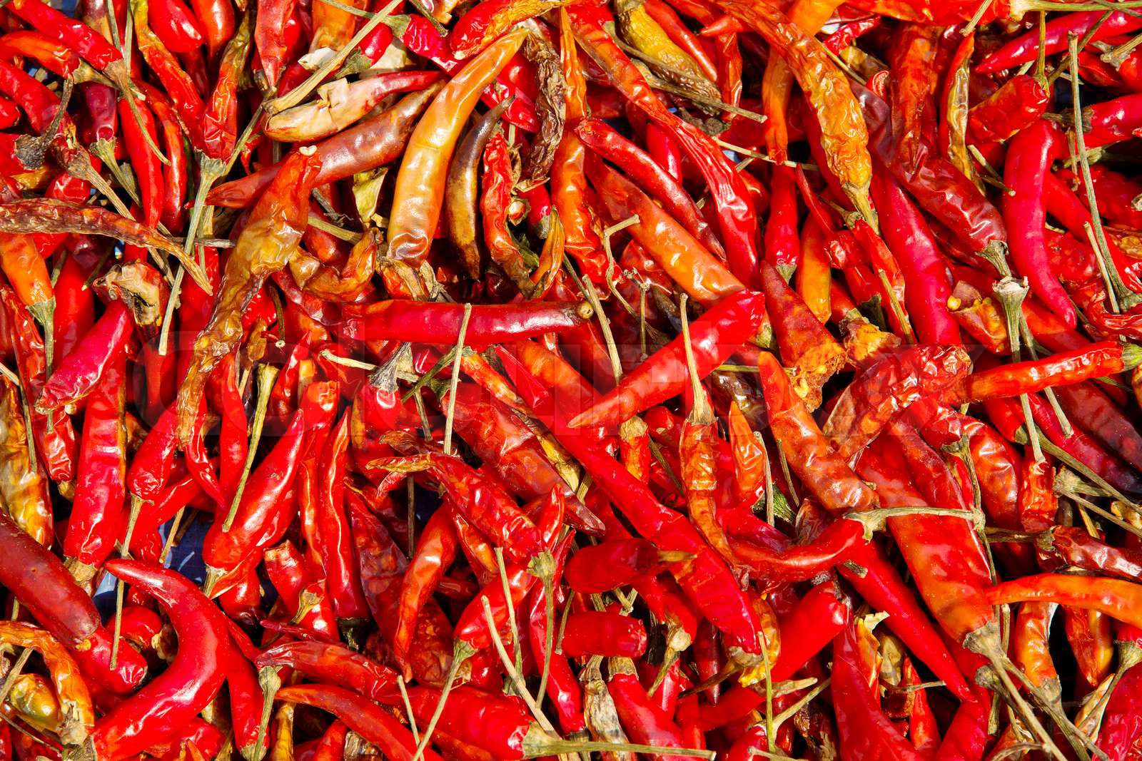 Dried Red Chilli Background | Stock image | Colourbox
