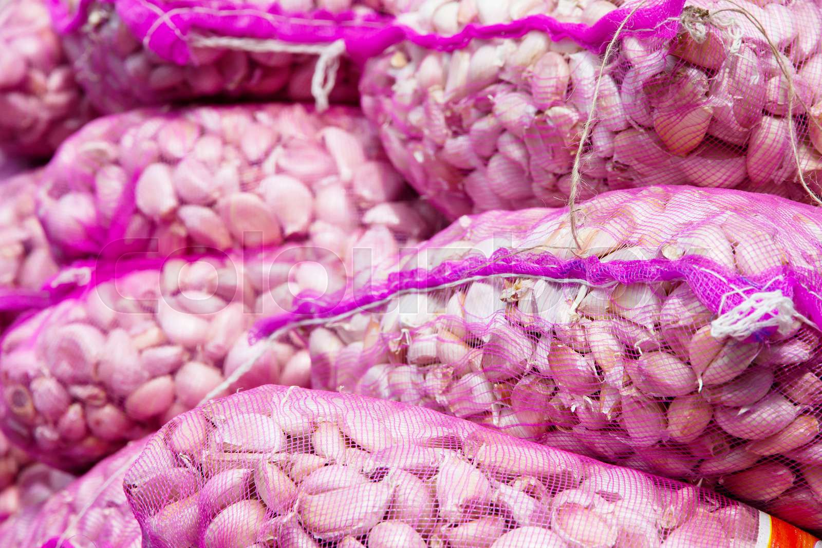 Bags of garlic in the market | Stock image | Colourbox
