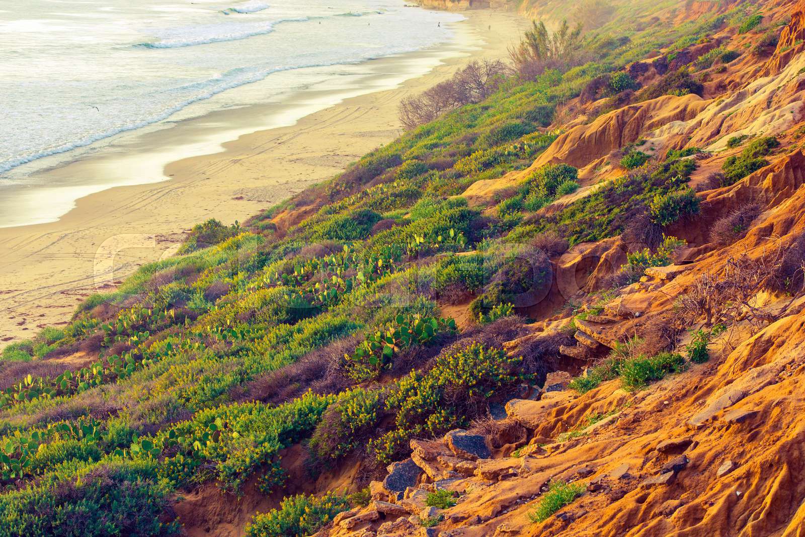 California Ocean Shore | Stock image | Colourbox