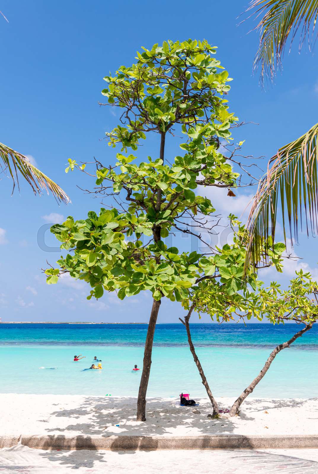 Wonderful colors of Maldives | Stock image | Colourbox