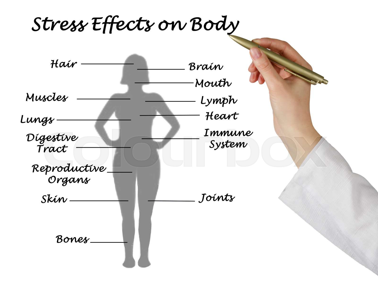 Stress Effects on Body | Stock image | Colourbox