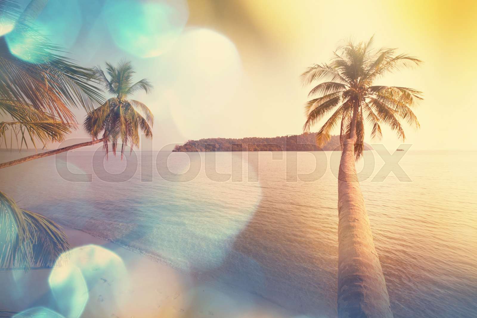Tropical beach | Stock image | Colourbox