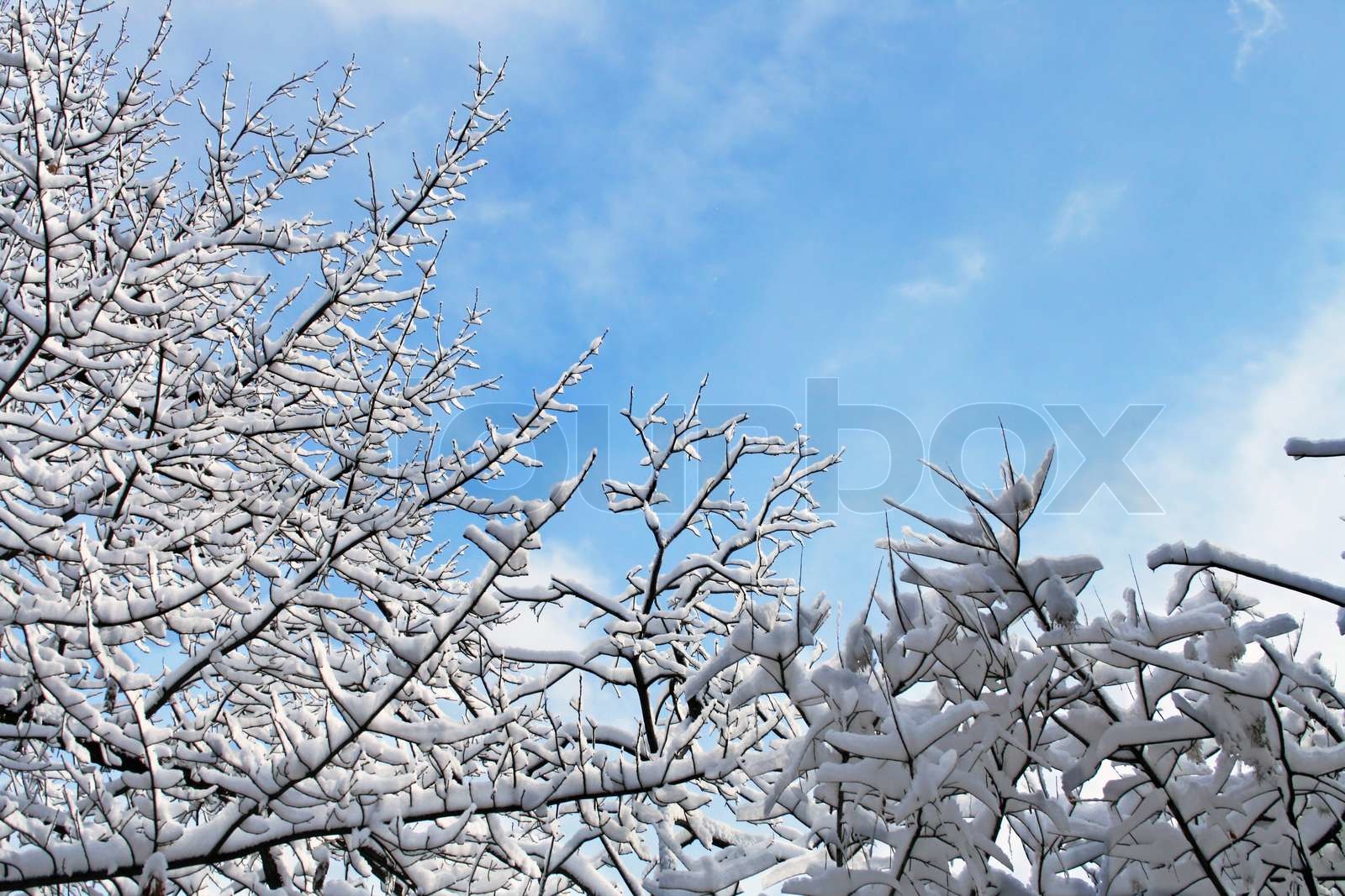 Cold weather | Stock image | Colourbox