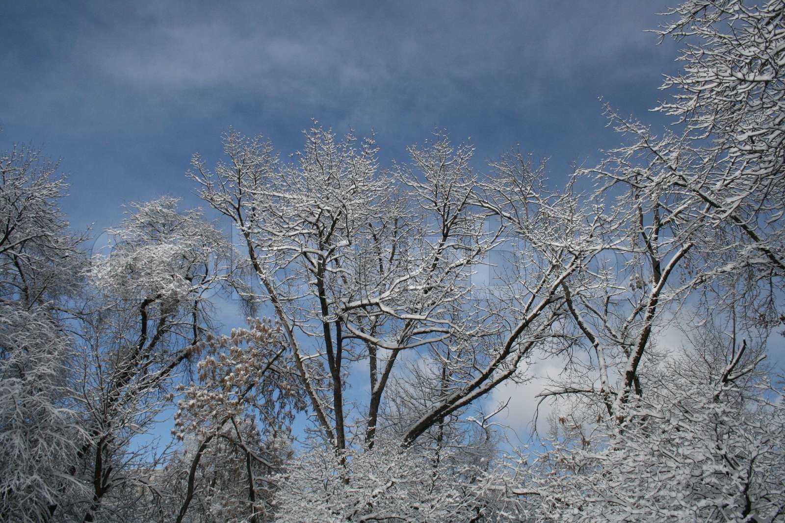 blue, cold, sky | Stock image | Colourbox