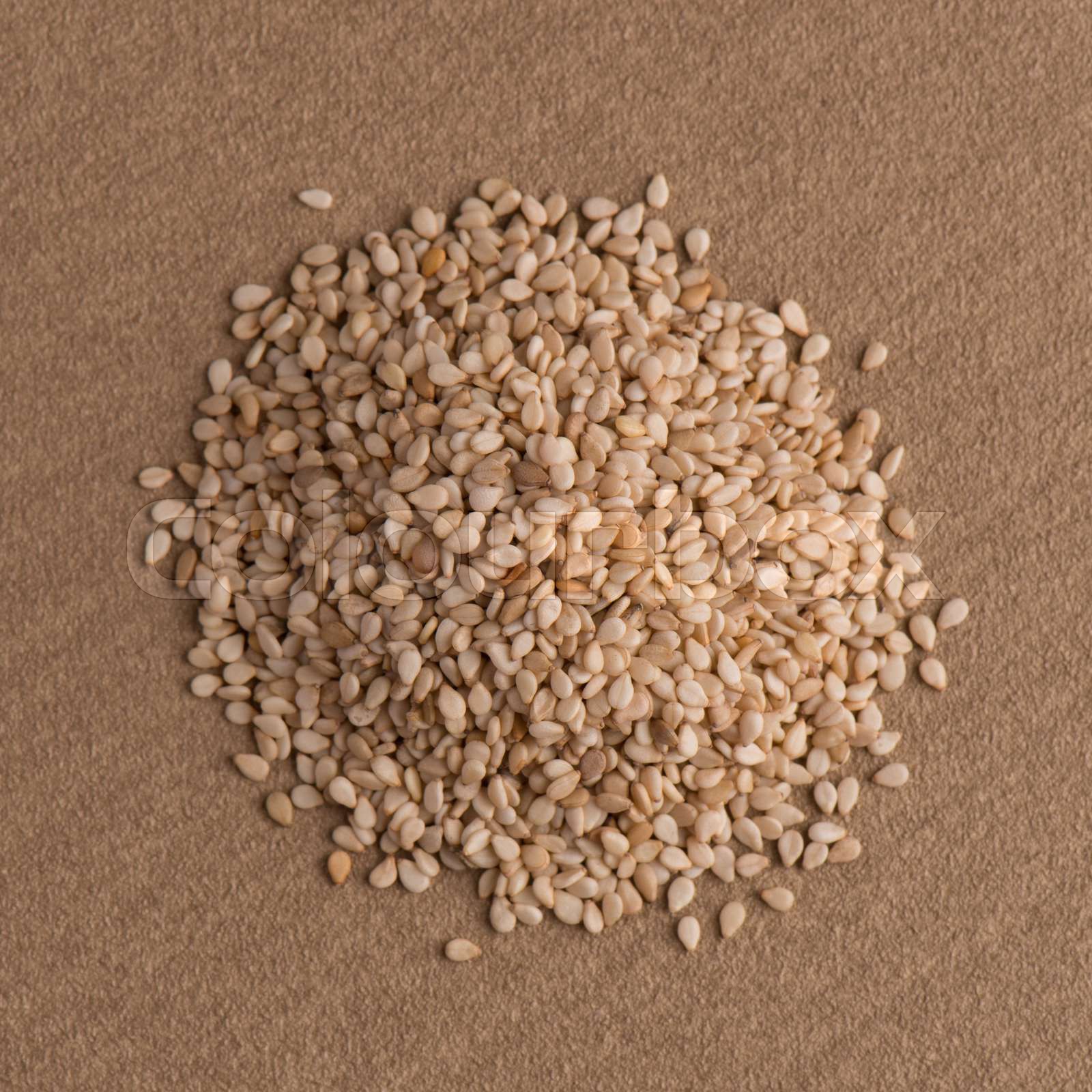 Circle of sesame seeds | Stock image | Colourbox