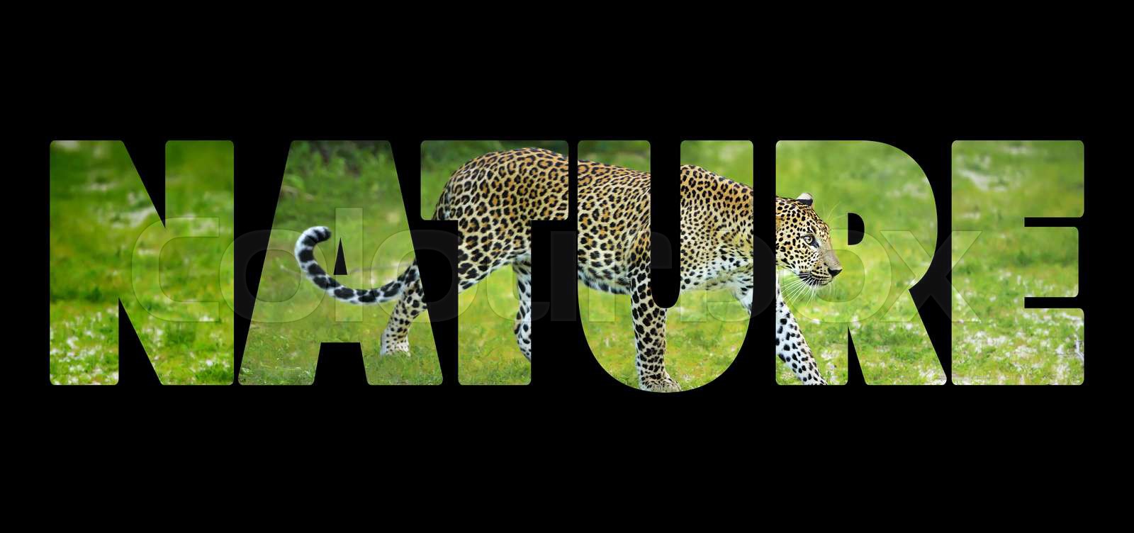 Background with word "Nature" | Stock image | Colourbox