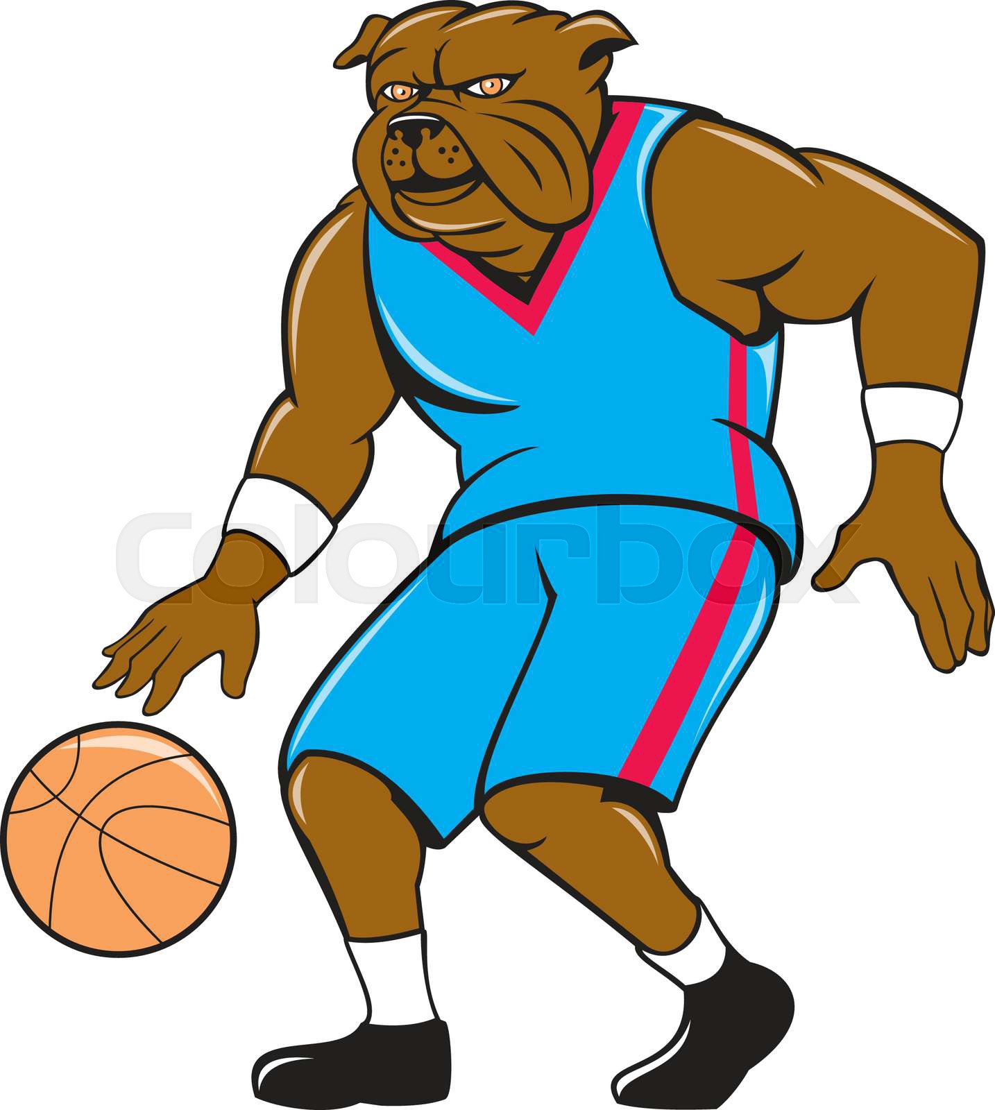 Bulldog Basketball Player Dribble Cartoon | Stock vector | Colourbox