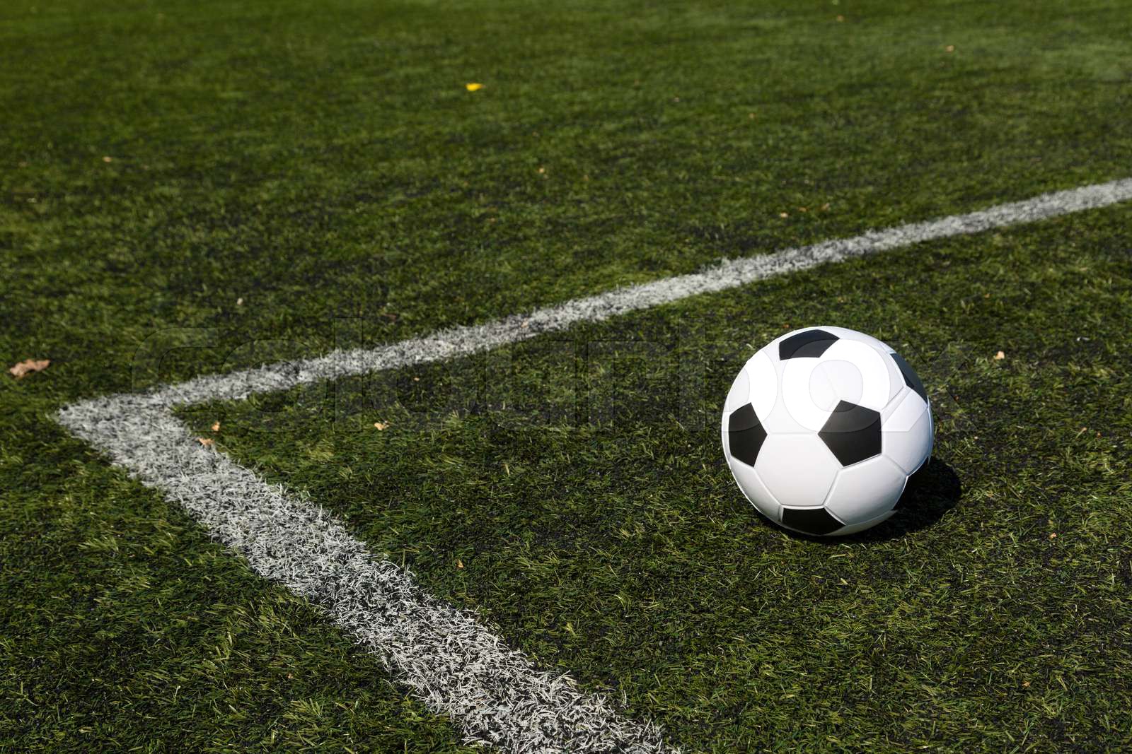 Soccer pitch | Stock image | Colourbox