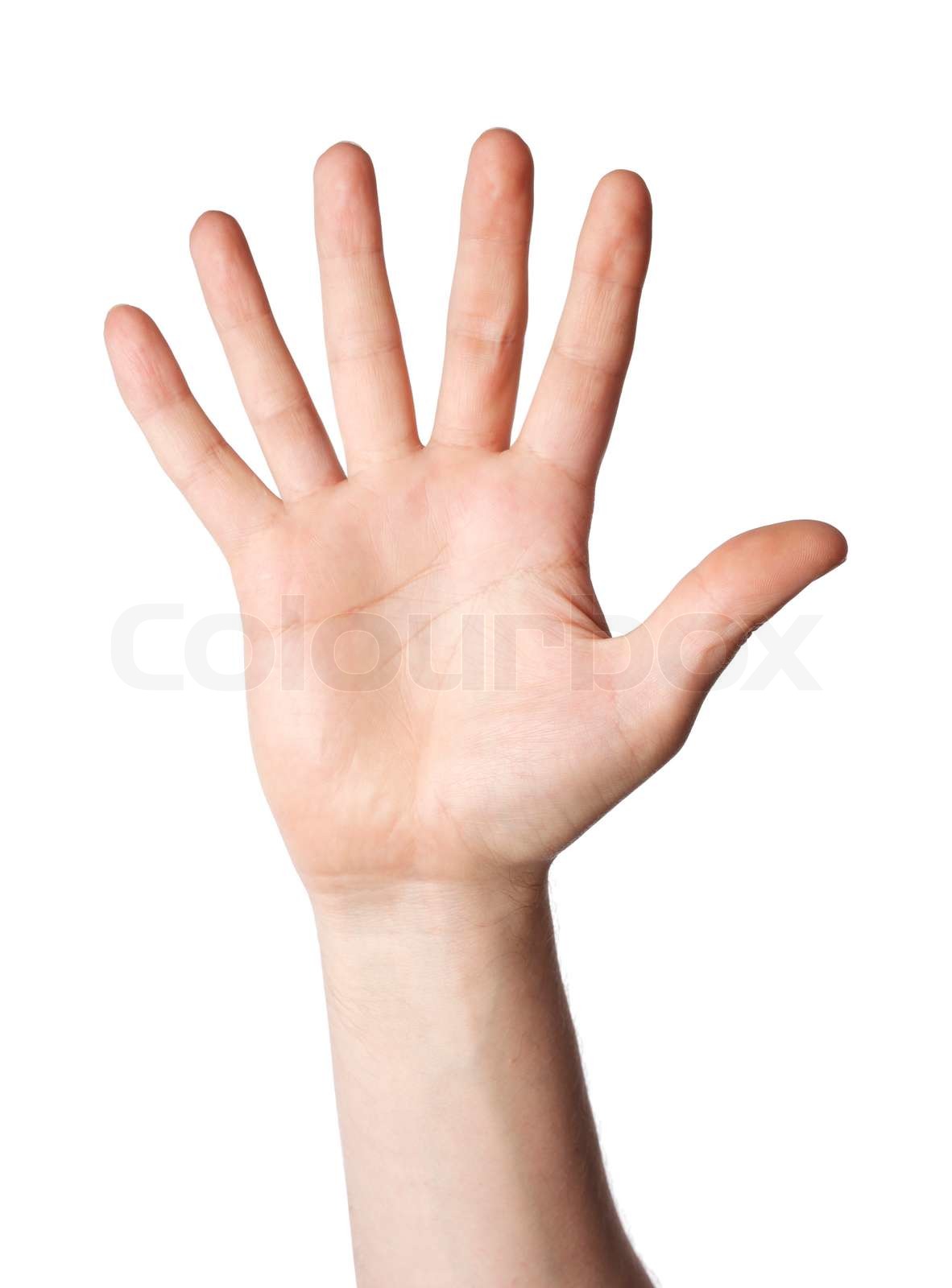 Hand with 6 fingers on white background | Stock image | Colourbox