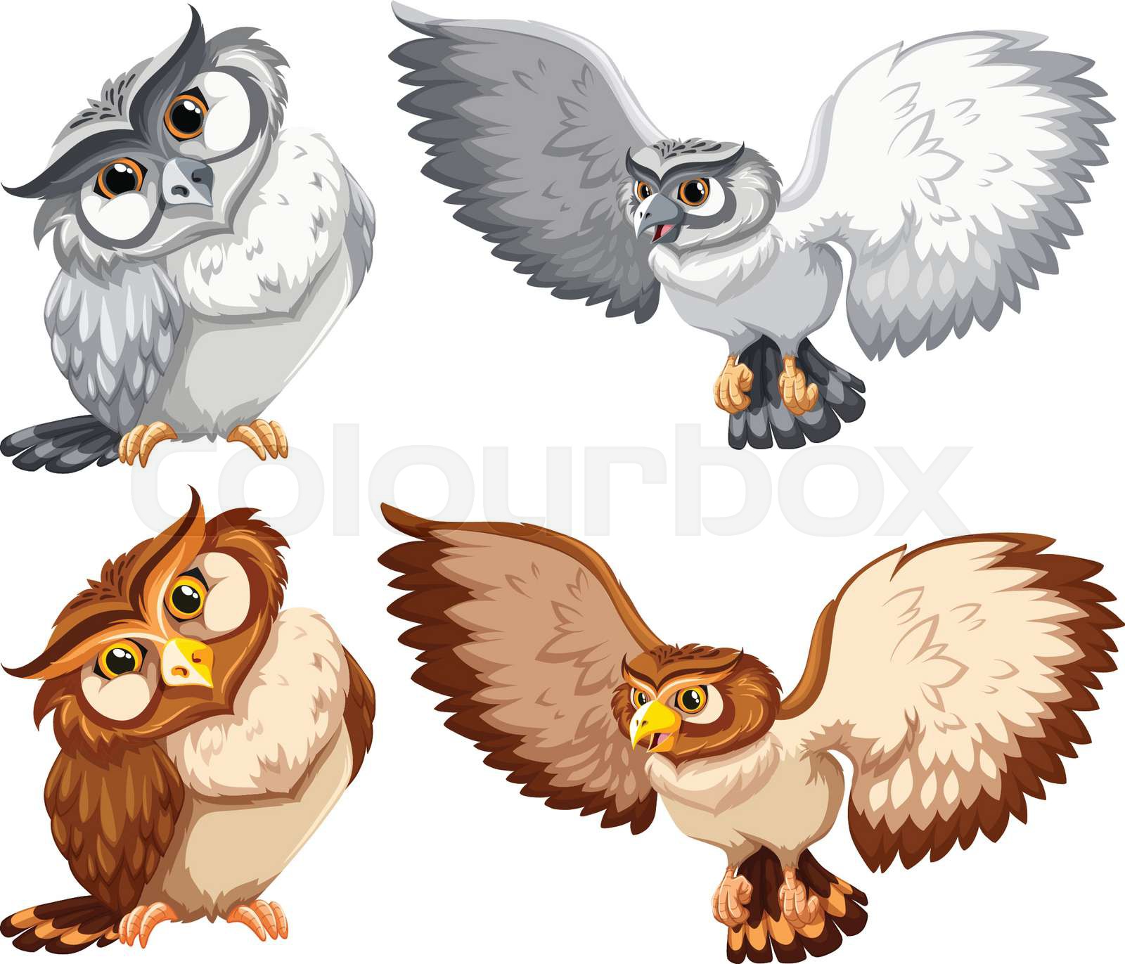 ugle, illustration, brun | Stock vektor | Colourbox