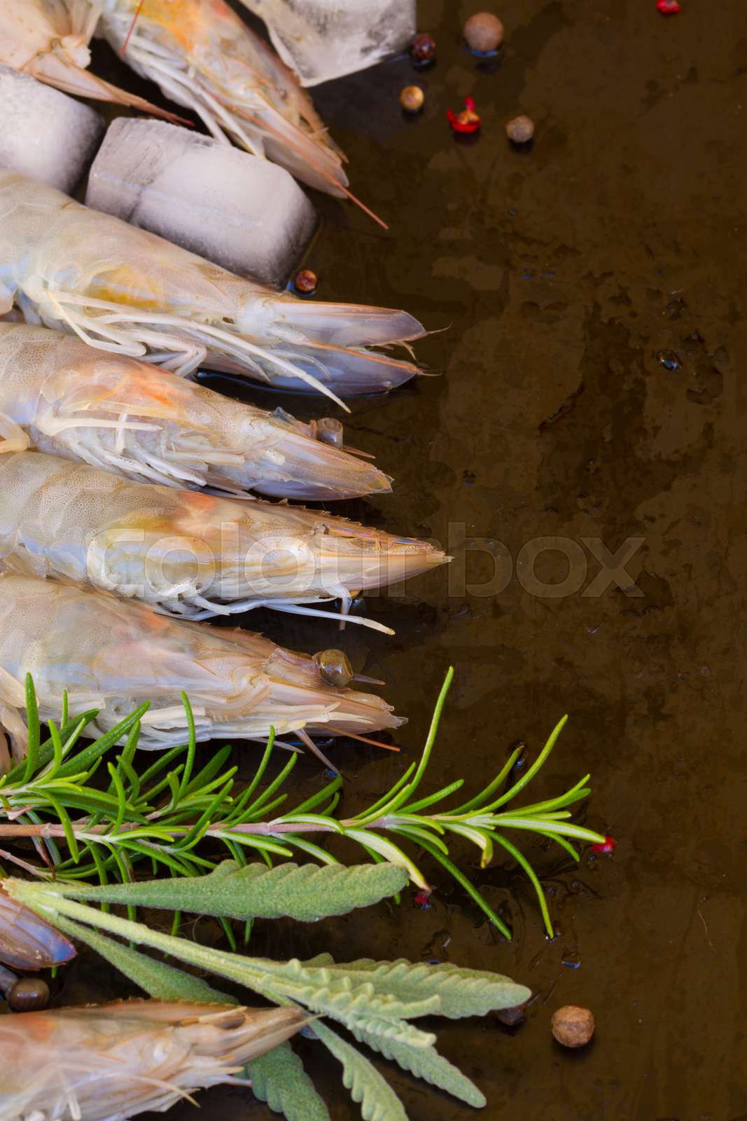 border of raw prawns | Stock image | Colourbox