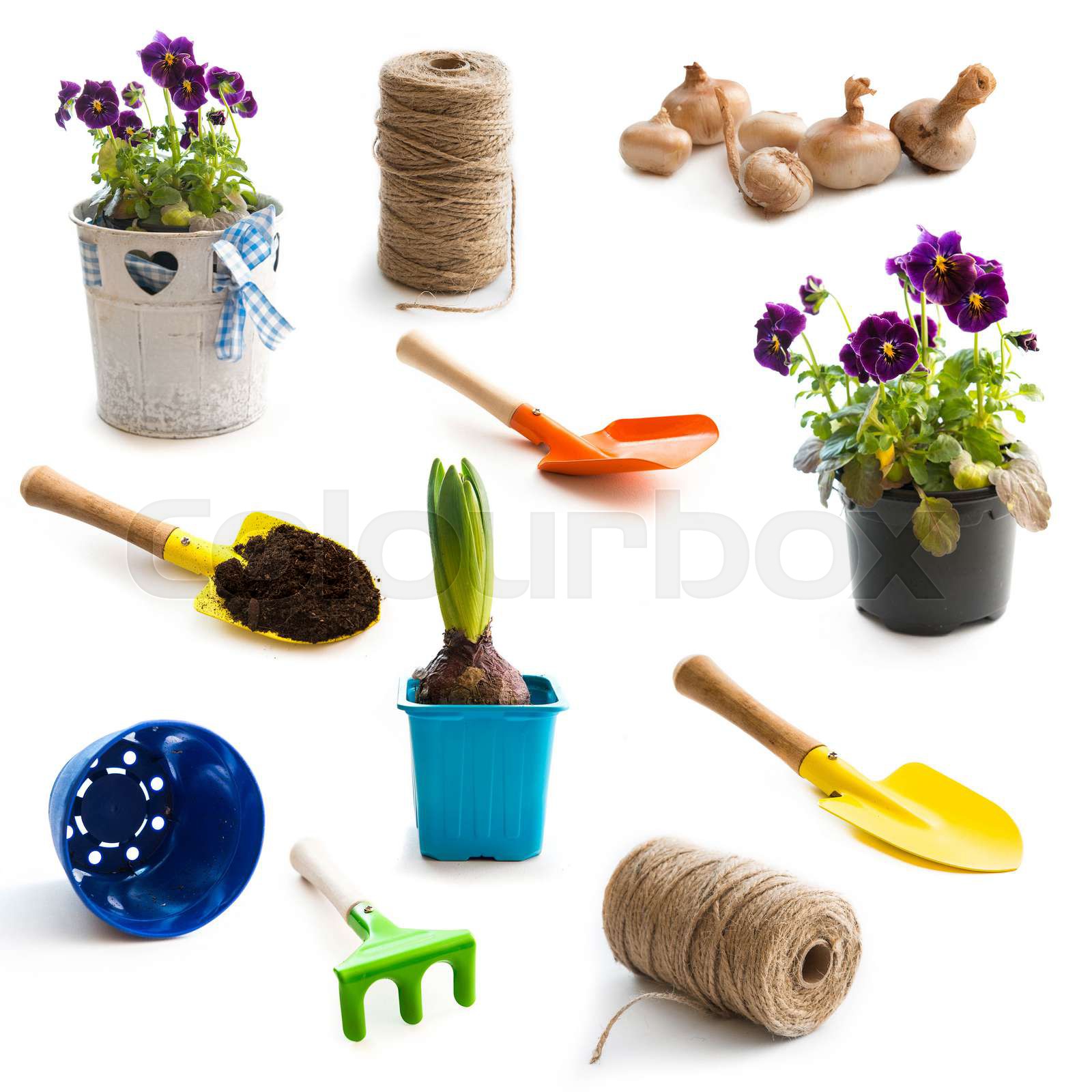 objects for gardening | Stock image | Colourbox