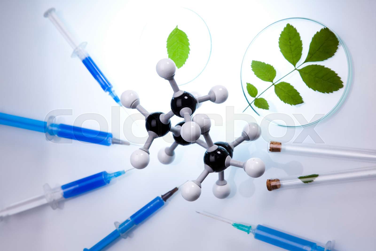 Laboratory pipette, bio organic modern concept | Stock image | Colourbox