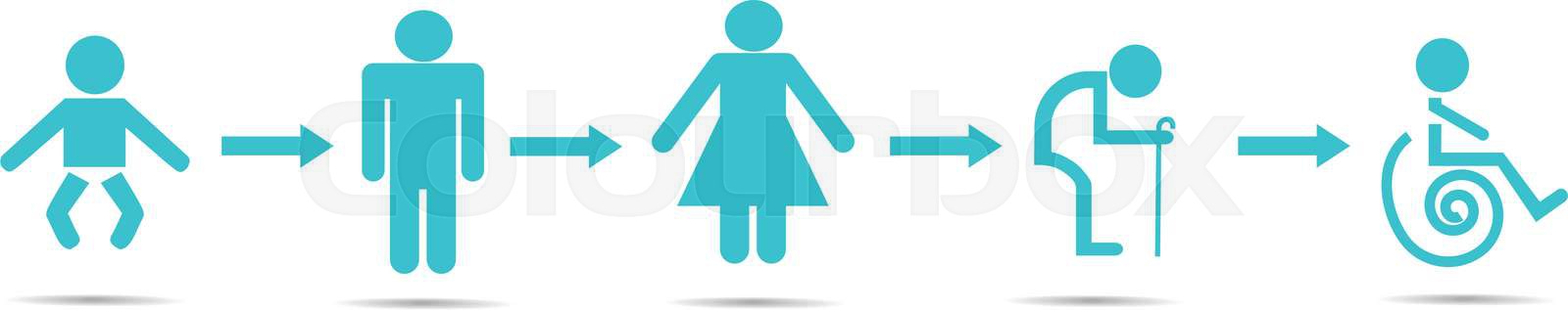 Process of human life.Vector illustration | Stock vector | Colourbox