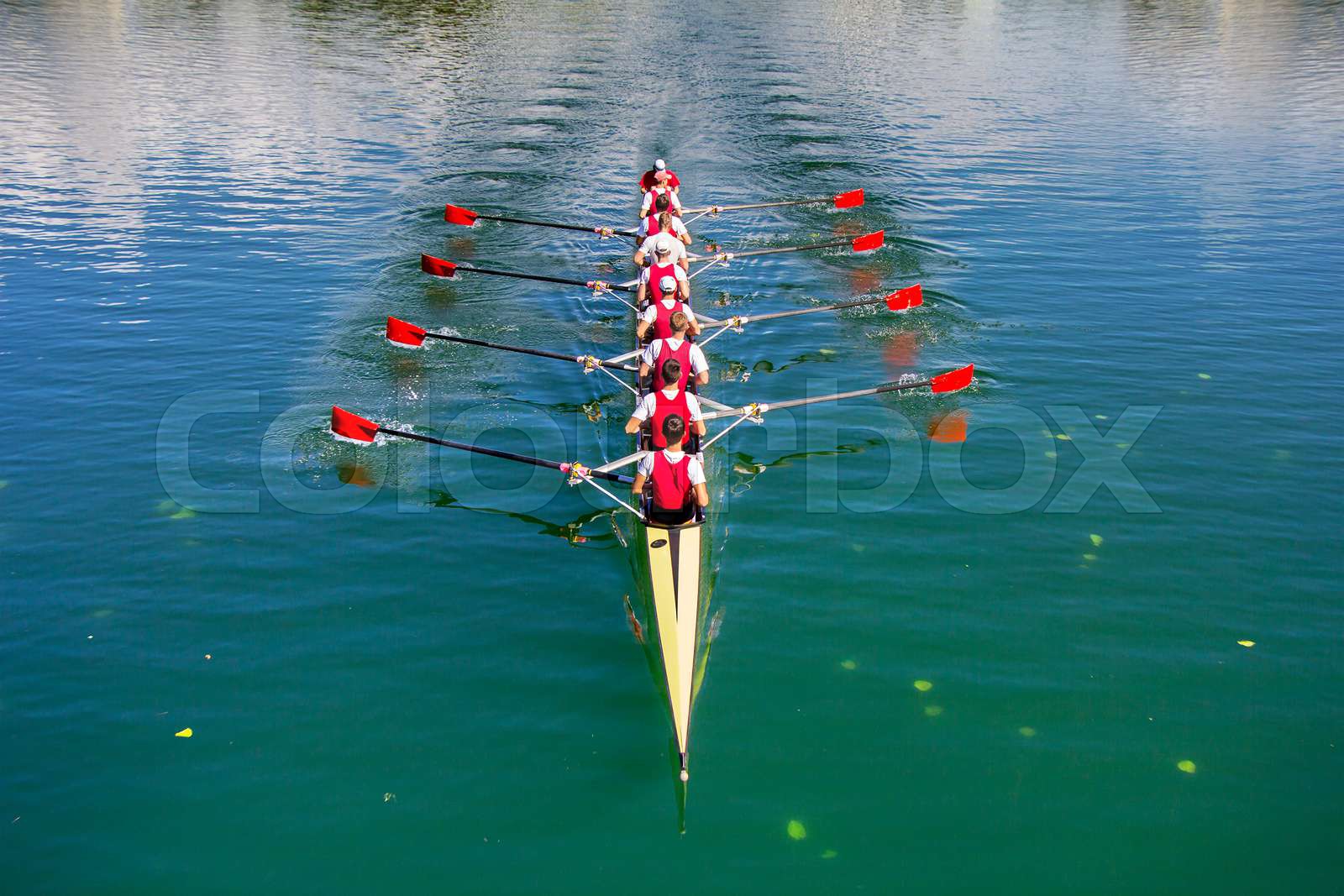 Boat coxed eight Rowers rowing | Stock image | Colourbox