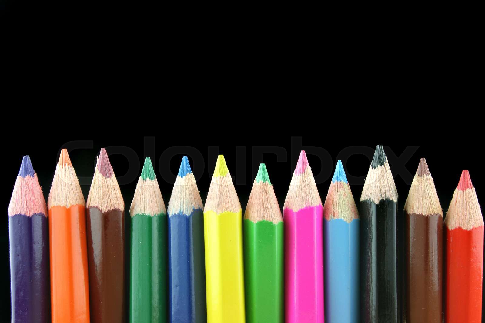 Line Of Pencils | Stock image | Colourbox