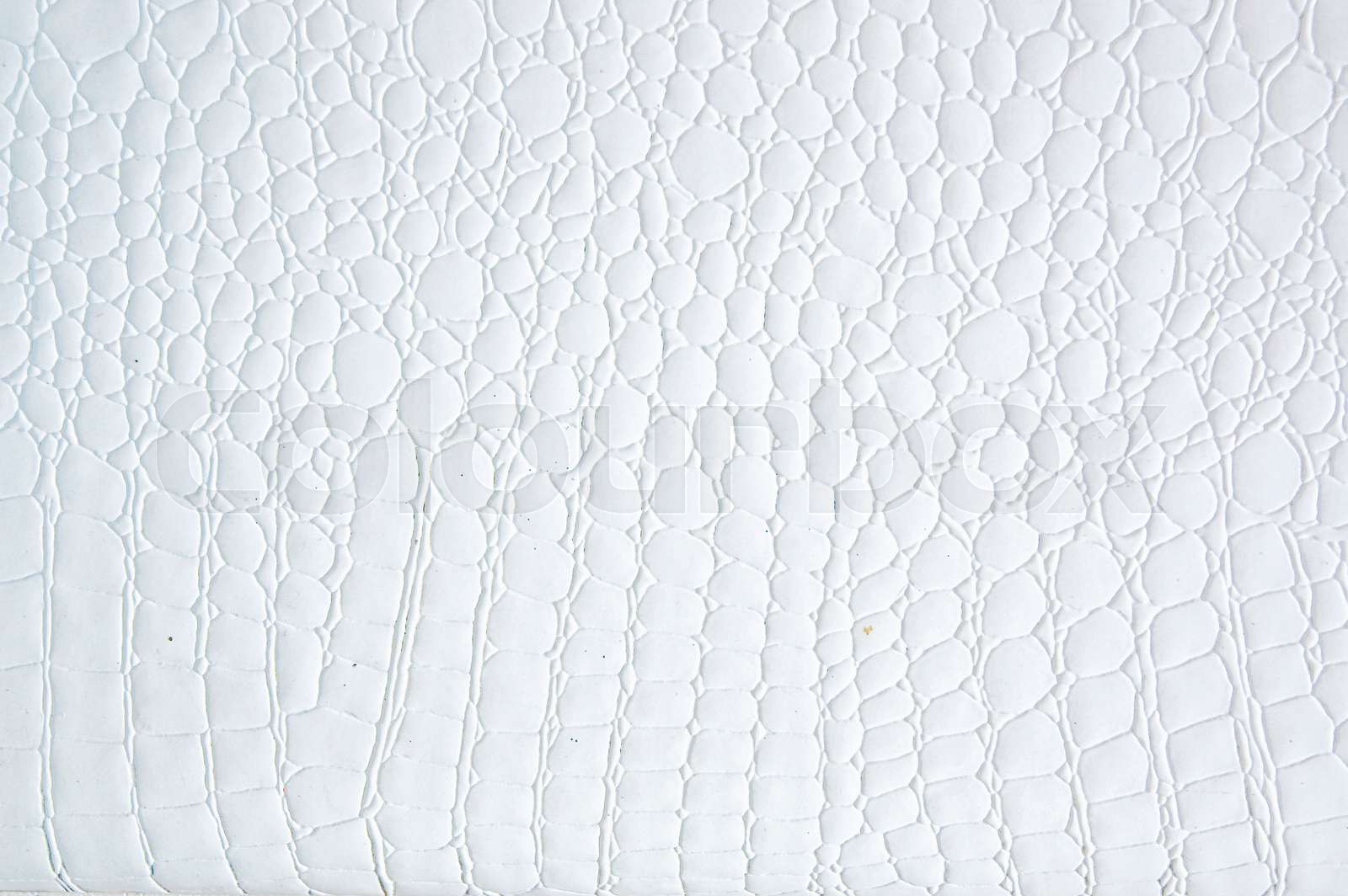 white texture | Stock image | Colourbox