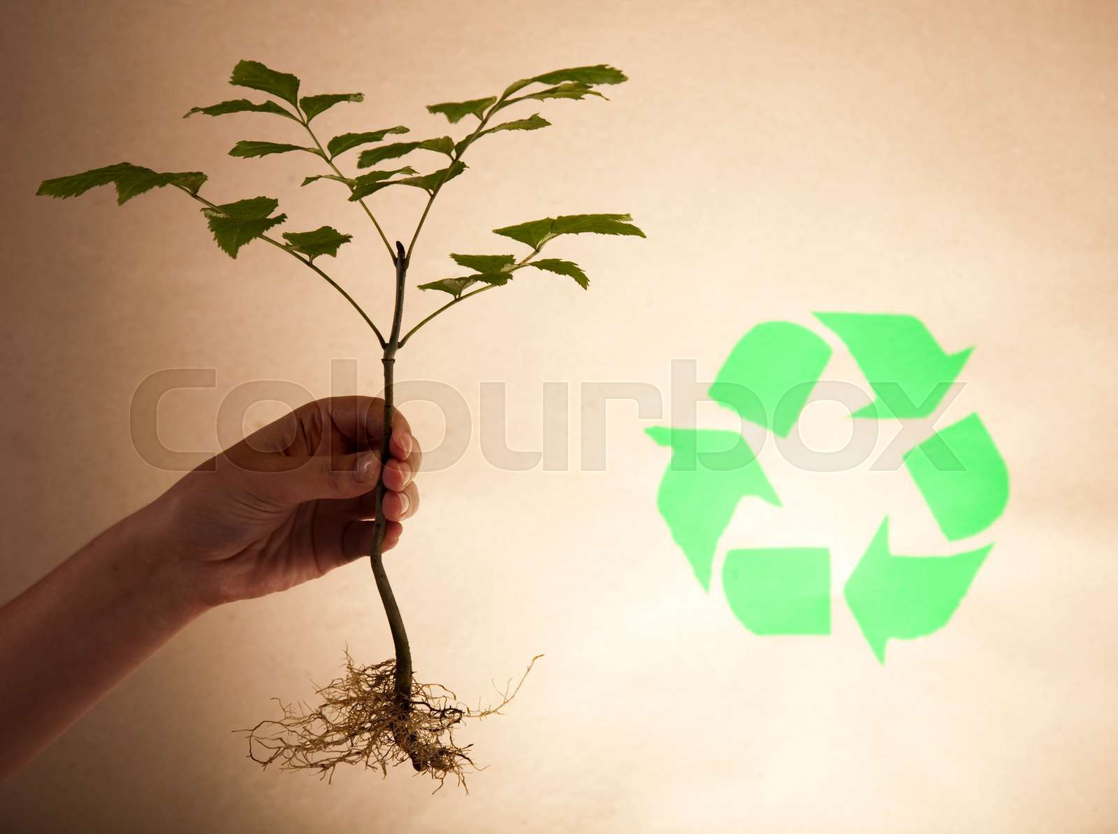 Recycling sign with images of nature | Stock image | Colourbox