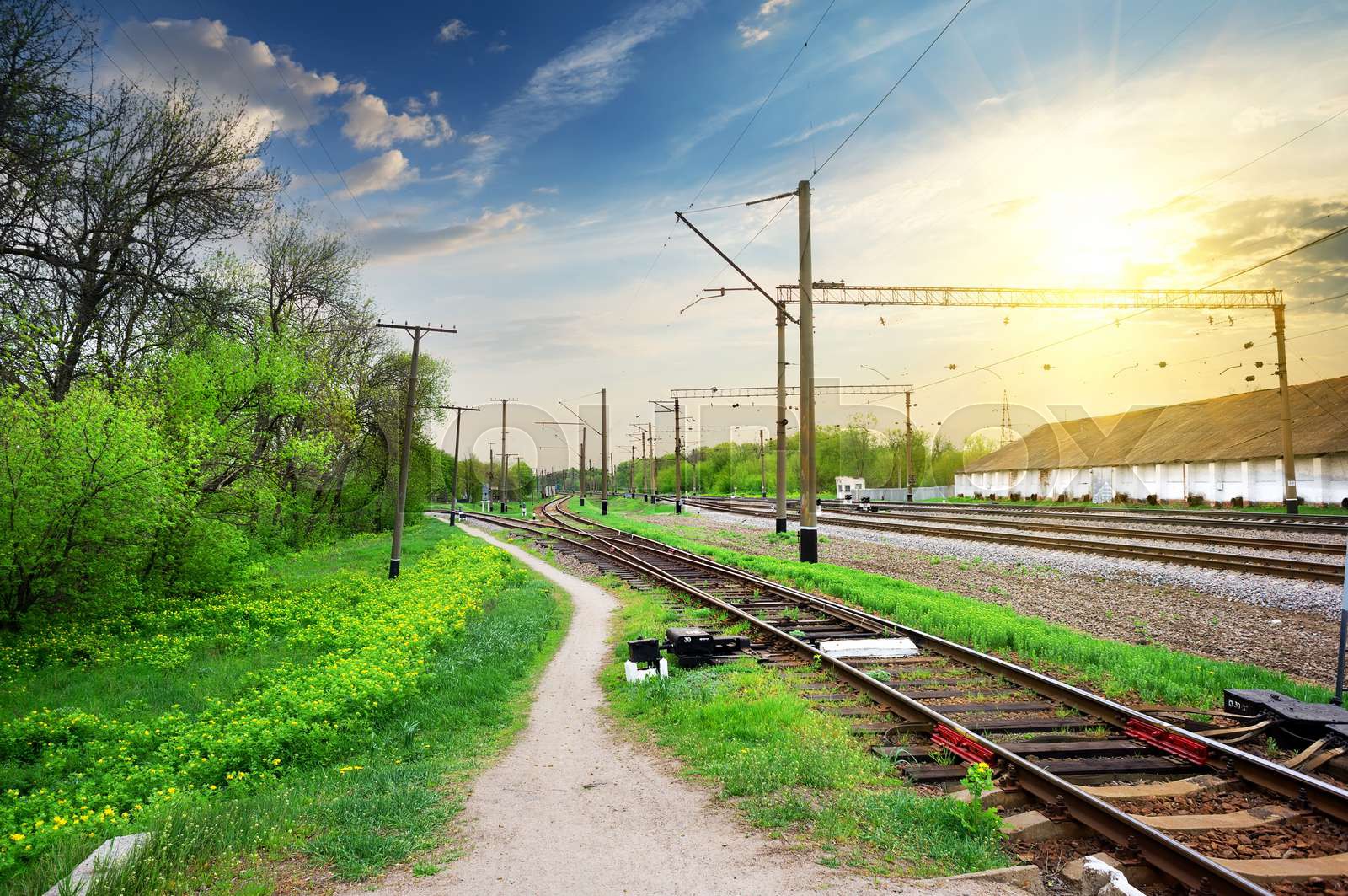 Poles on a railway | Stock image | Colourbox