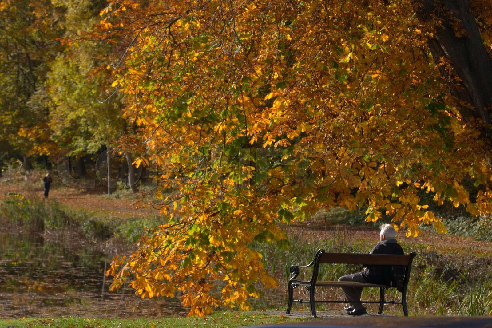 autumn bench | Stock image | Colourbox