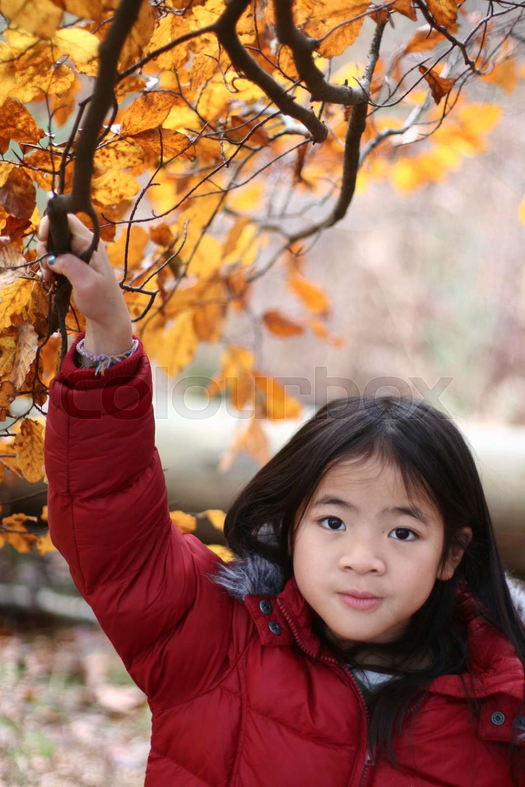 children joy | Stock image | Colourbox