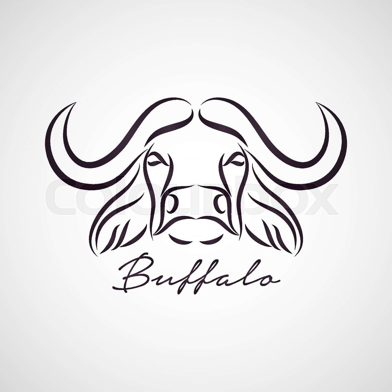 Buffalo logo vector | Stock vector | Colourbox