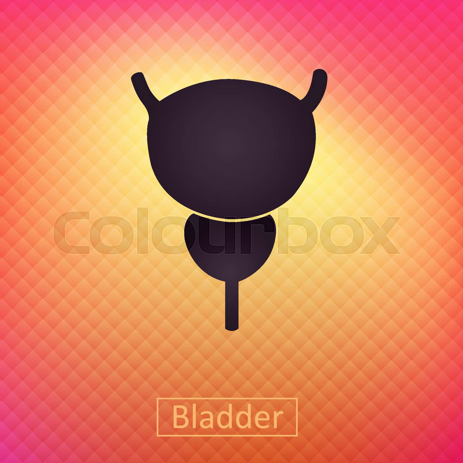 Bladder icons | Stock vector | Colourbox