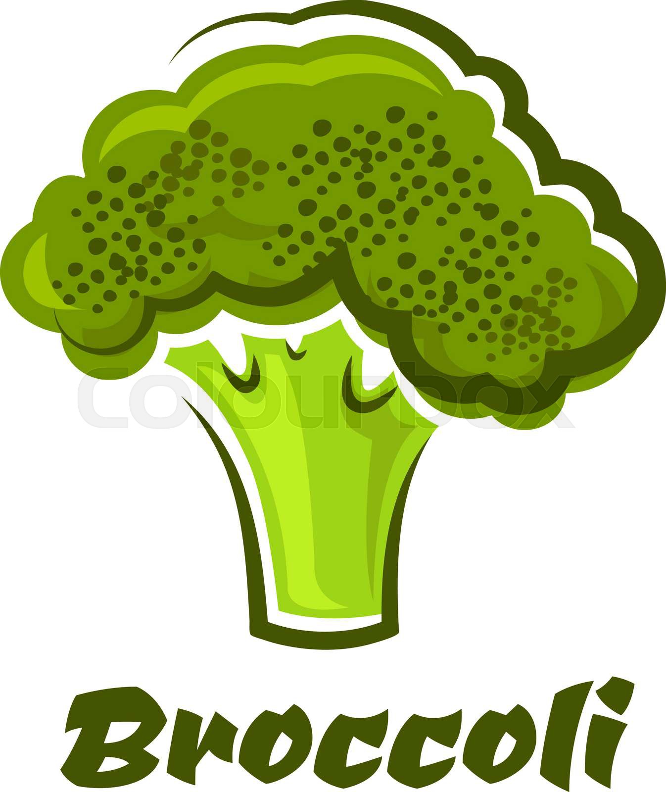brokkoli, icon, grafik | Stock-Vektor | Colourbox