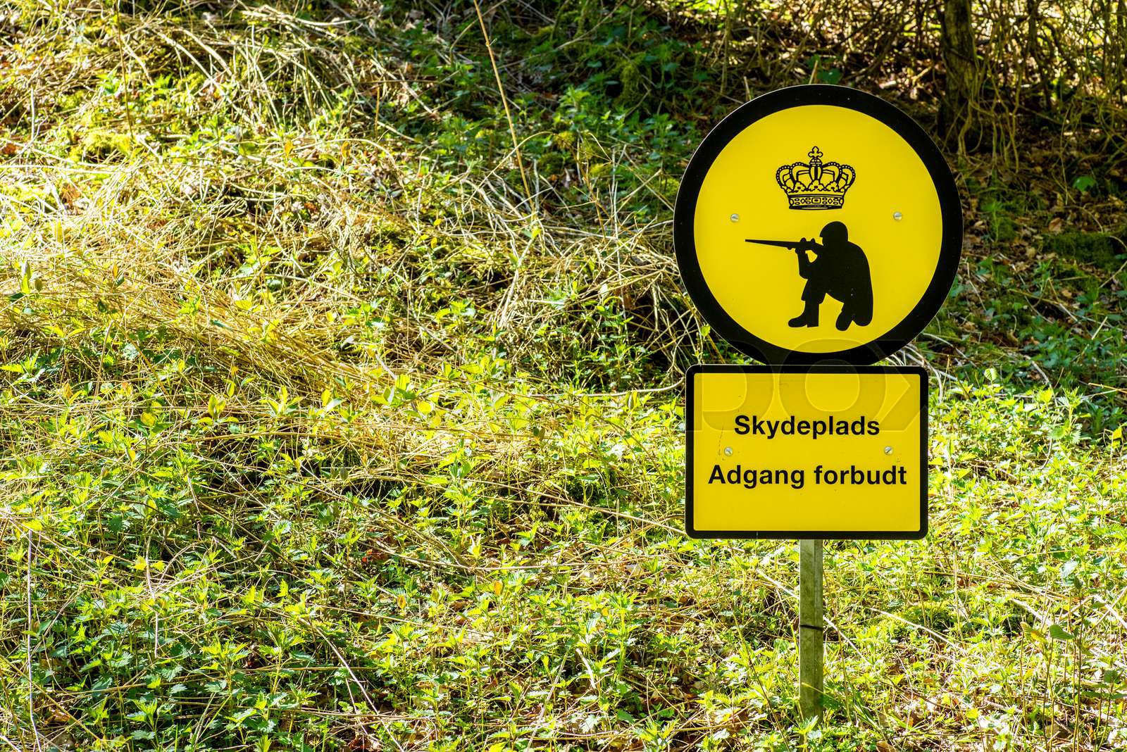 Skydebane skilt i naturen | Stock foto | Colourbox