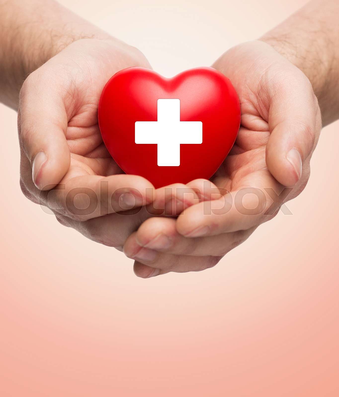 male hands holding red heart with white cross | Stock image | Colourbox