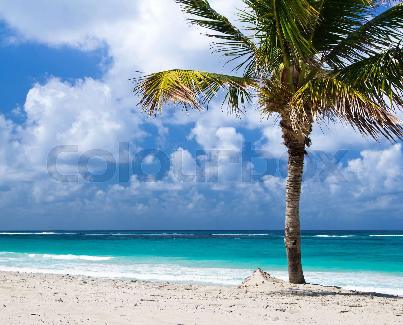 Beach | Stock image | Colourbox