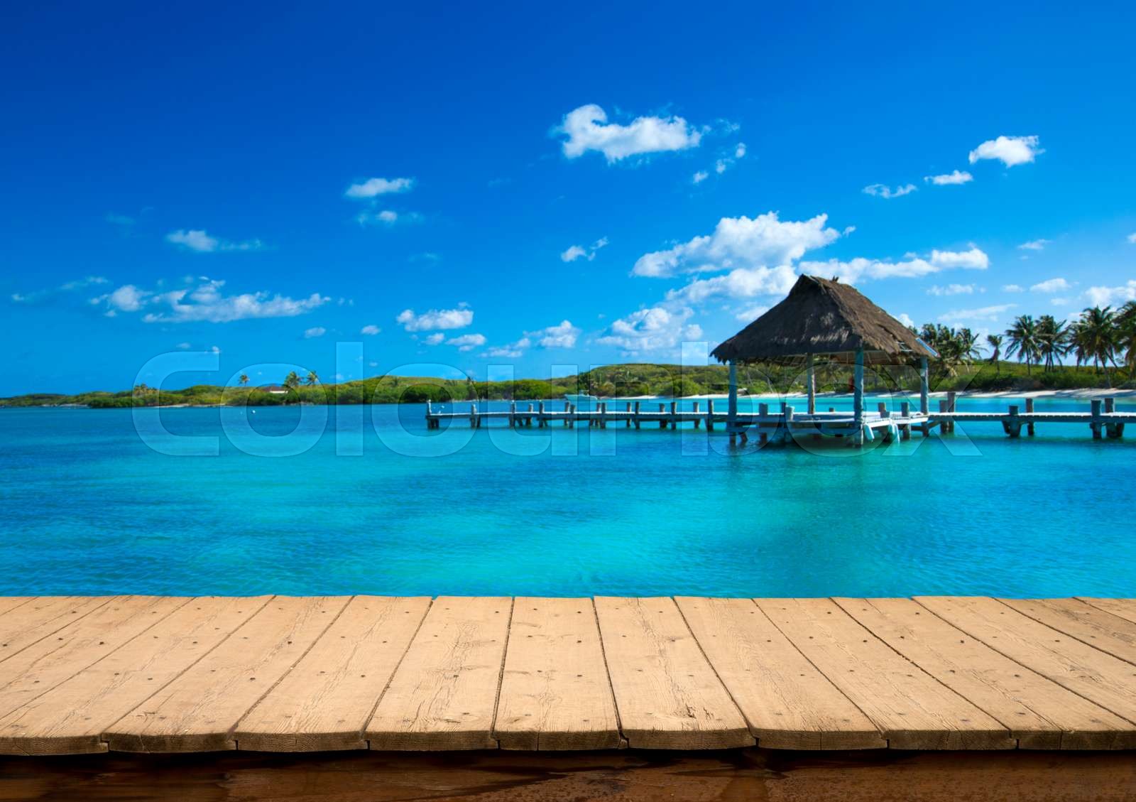 Tropical Beach Stock Image Colourbox