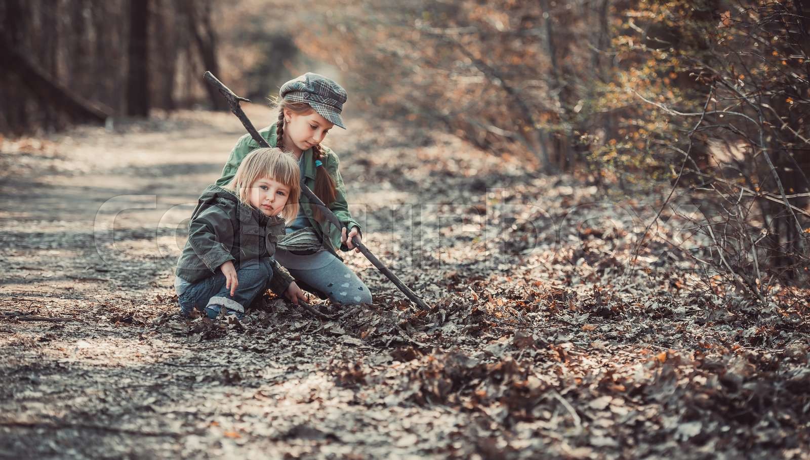 children play in the woods | Stock image | Colourbox