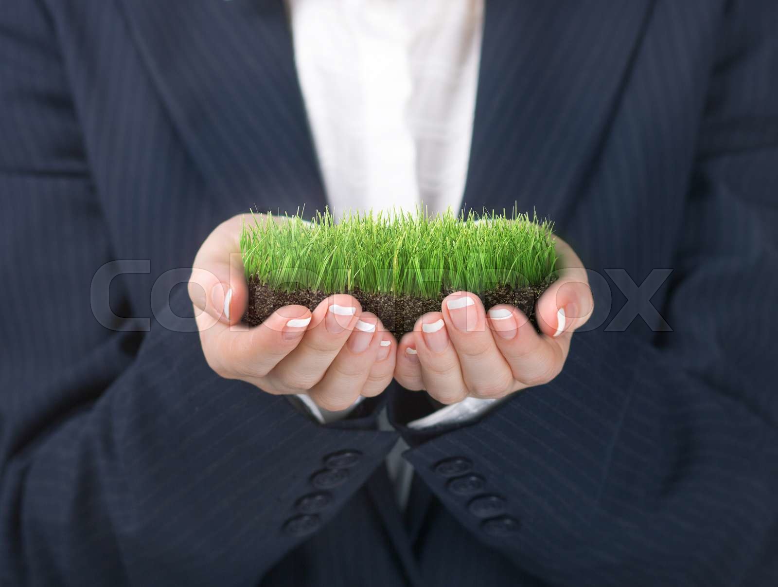 Human hands holding green grass. Eco concept. | Stock image | Colourbox